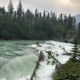 Rearguard Falls Trail, British Columbia, Canada - 220 Reviews, Map ...