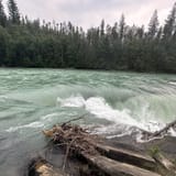 Rearguard Falls Trail, British Columbia, Canada - 220 Reviews, Map ...
