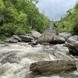 Spence Ridge Trail, North Carolina - 317 Reviews, Map | AllTrails