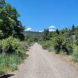Bizz Johnson Trail, California - 186 Reviews, Map | AllTrails
