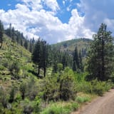 Bizz Johnson Trail, California - 186 Reviews, Map | AllTrails