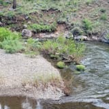 Bizz Johnson Trail, California - 186 Reviews, Map | AllTrails
