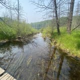 Ransom Lake Loop, Michigan - 250 Reviews, Map | AllTrails