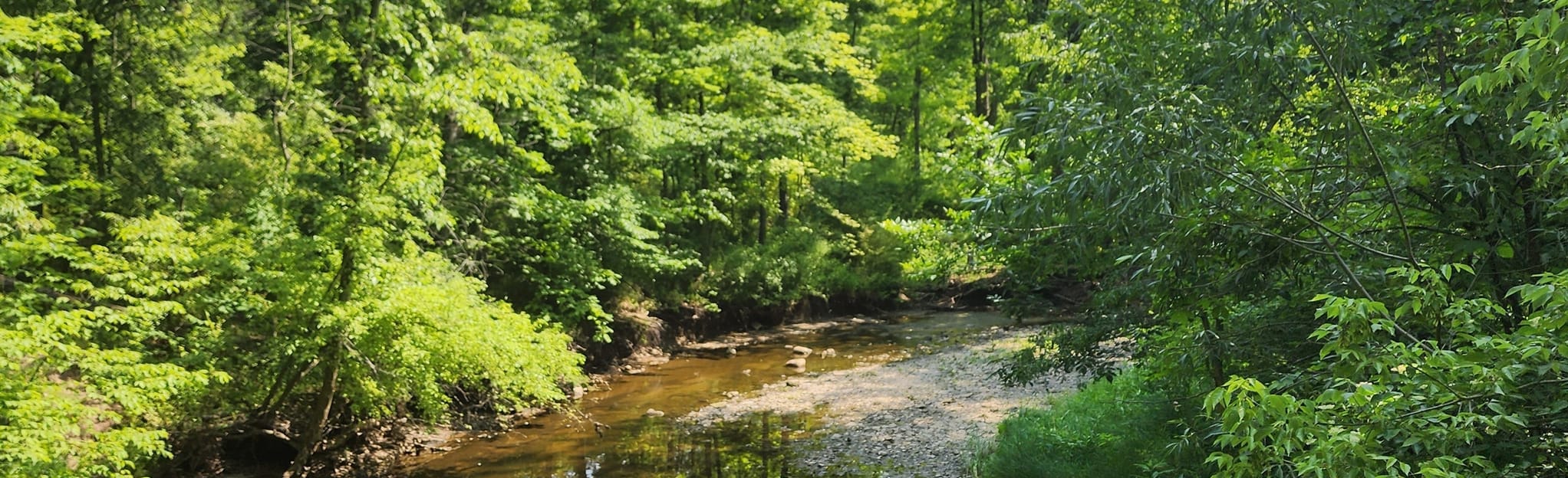 Beaver Creek Loop and Conifer Connector: 92 Reviews, Map - Ohio | AllTrails