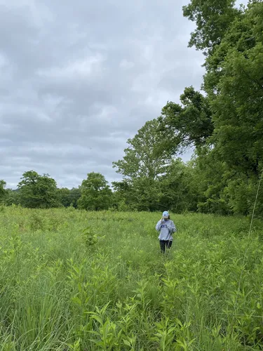 Best Hikes and Trails in Knobs State Forest | AllTrails