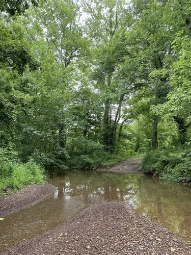 Best Hikes and Trails in Knobs State Forest | AllTrails