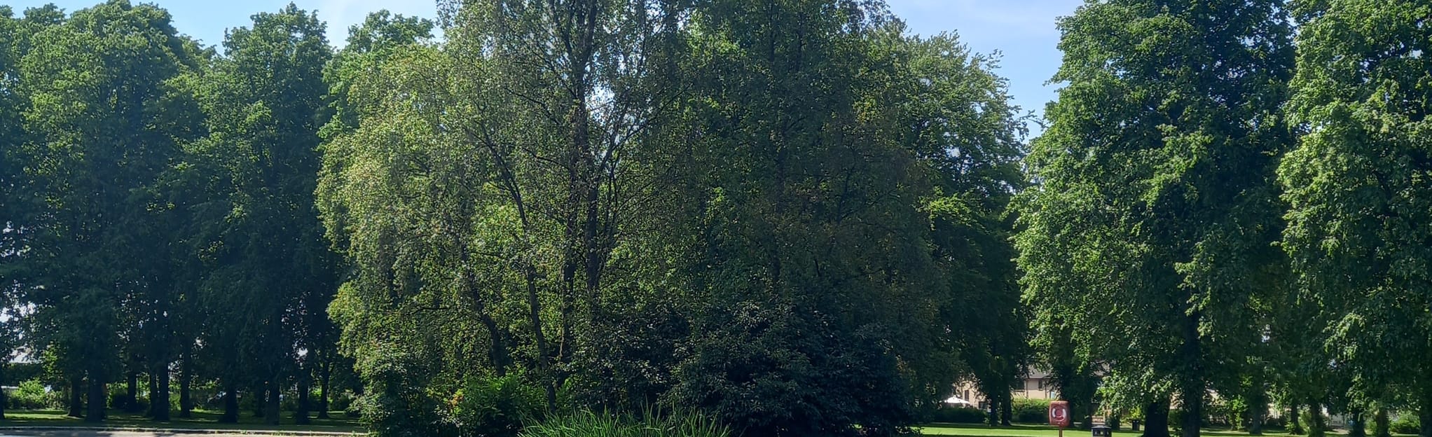 Robertson Park Loop, Renfrewshire, Scotland - 20 Reviews, Map | AllTrails