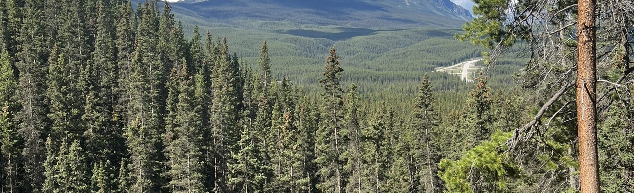 Silverton Falls: 990 Reviews, Map - Alberta, Canada | AllTrails