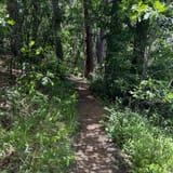 Memmen Ridge Open Space Trail, Colorado - 266 Reviews, Map | AllTrails