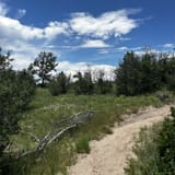 Memmen Ridge Open Space Trail, Colorado - 266 Reviews, Map | AllTrails