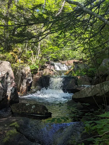 Best Lake Trails in Utopia | AllTrails