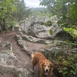 River and Matildaville Trail, Virginia - 744 Reviews, Map | AllTrails