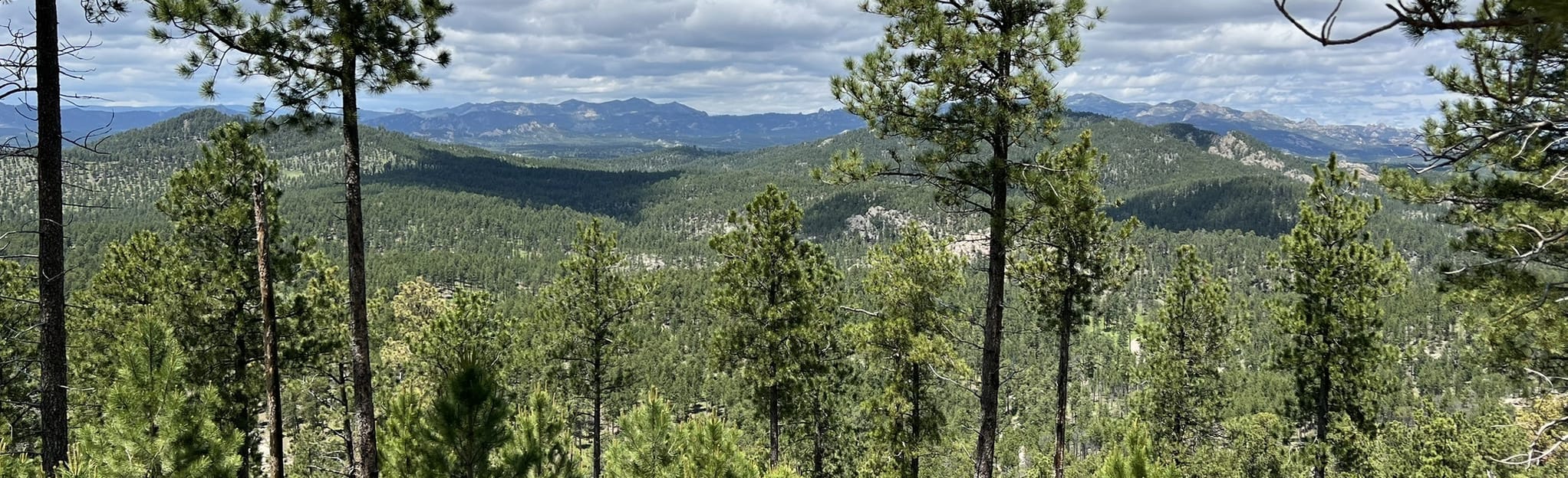 Mount Coolidge Road, South Dakota - 98 Reviews, Map | AllTrails
