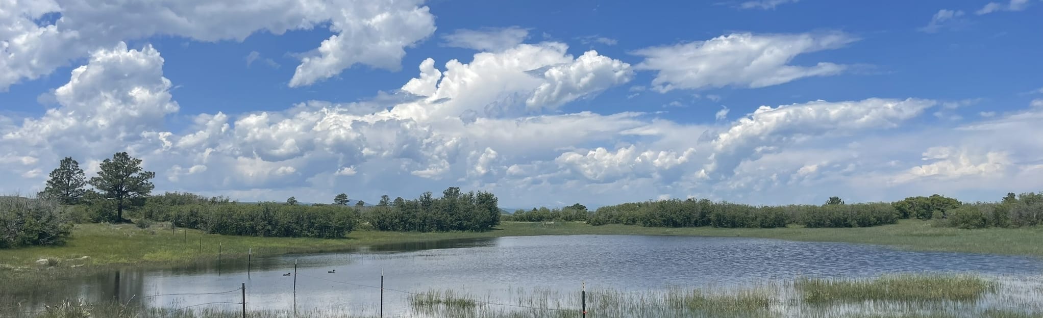 Palmer Divide Ranch Trail, Colorado - 407 Reviews, Map | AllTrails