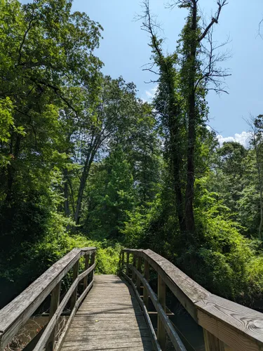 Best Hikes and Trails in Great Swamp National Wildlife Refuge | AllTrails
