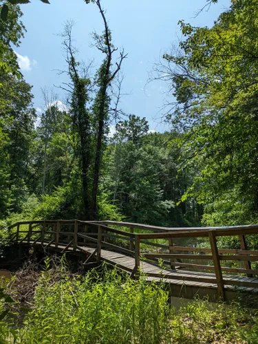 Best Hikes and Trails in Great Swamp National Wildlife Refuge | AllTrails