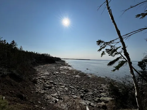 2023 Best Wildlife Trails in Melmerby Beach | AllTrails 2023 Best Wildlife Trails in Melmerby Beach | AllTrails