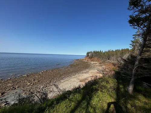 2023 Best Wildlife Trails in Melmerby Beach | AllTrails 2023 Best Wildlife Trails in Melmerby Beach | AllTrails