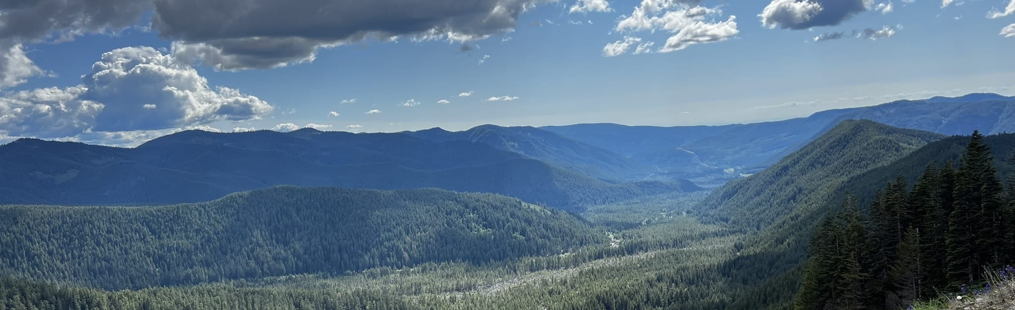 Top Spur and Timberline Trail Loop: 547 Reviews, Map - Oregon | AllTrails