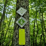 Pine Mountain State Scenic Trail: Highland Section, Kentucky - 47 ...