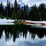 Tipsoo Lake Loop, Washington - 329 Reviews, Map | AllTrails
