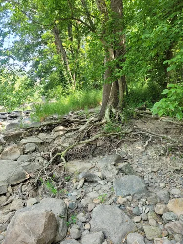 Best Hikes and Trails in Marott Park and Nature Preserve | AllTrails