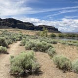 Dusty Lake to Ancient Lakes, Washington - 388 Reviews, Map | AllTrails