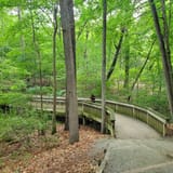 Noland Trail, Virginia - 863 Reviews, Map | AllTrails