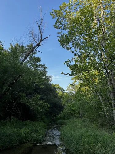 Best Hikes and Trails in Bootys Road Park | AllTrails