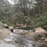 Kirrawee Bushwalk, New South Wales, Australia - 136 Reviews, Map ...
