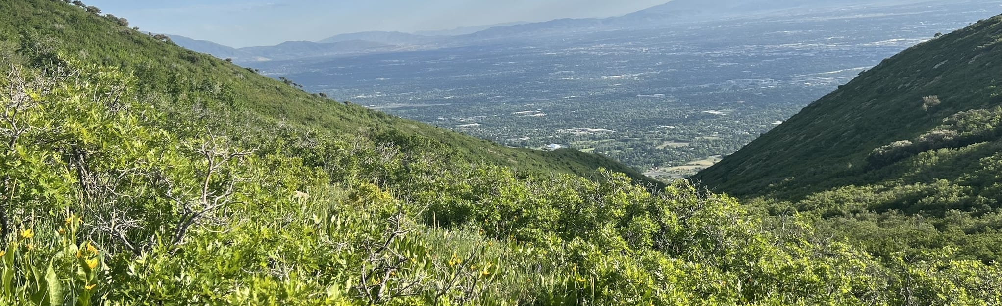Red Butte and Mount Wire, Utah - 785 Reviews, Map | AllTrails