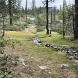 Bassi Falls via Towering Rocks Trail, California - 390 Reviews, Map ...