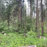 Squilchuck State Park Loop, Washington - 230 Reviews, Map | AllTrails