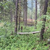 Squilchuck State Park Loop, Washington - 230 Reviews, Map | AllTrails
