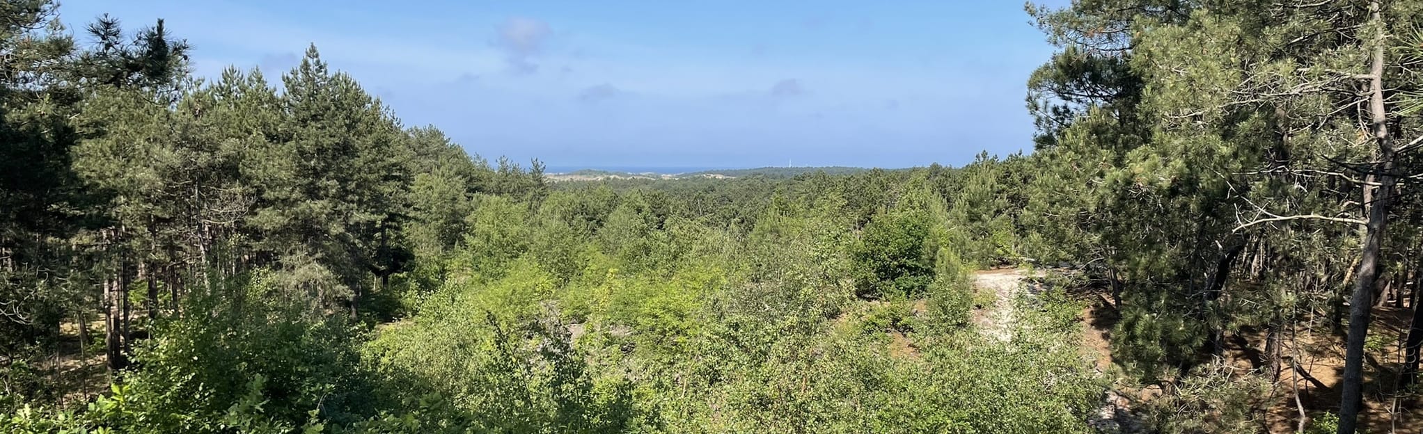 Schoorl - Hoogste Duin - Klimduin: 8 Reviews, Map - North Holland ...