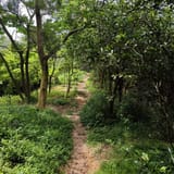Coloane Extended Walking Trail, Macau - 25 Reviews, Map | AllTrails