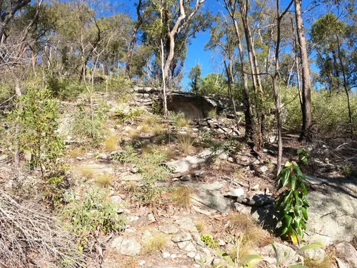 Best Hikes and Trails in Cania Gorge National Park | AllTrails