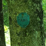 Peg Leg Mine Trail, Tennessee - 165 Reviews, Map | AllTrails