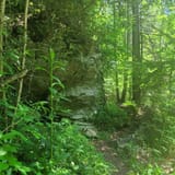 Peg Leg Mine Trail, Tennessee - 165 Reviews, Map | AllTrails