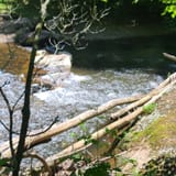 Peg Leg Mine Trail, Tennessee - 165 Reviews, Map | AllTrails