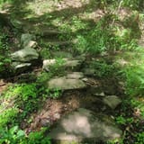 Peg Leg Mine Trail, Tennessee - 165 Reviews, Map | AllTrails