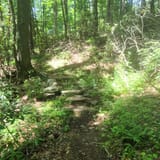 Peg Leg Mine Trail, Tennessee - 165 Reviews, Map | AllTrails