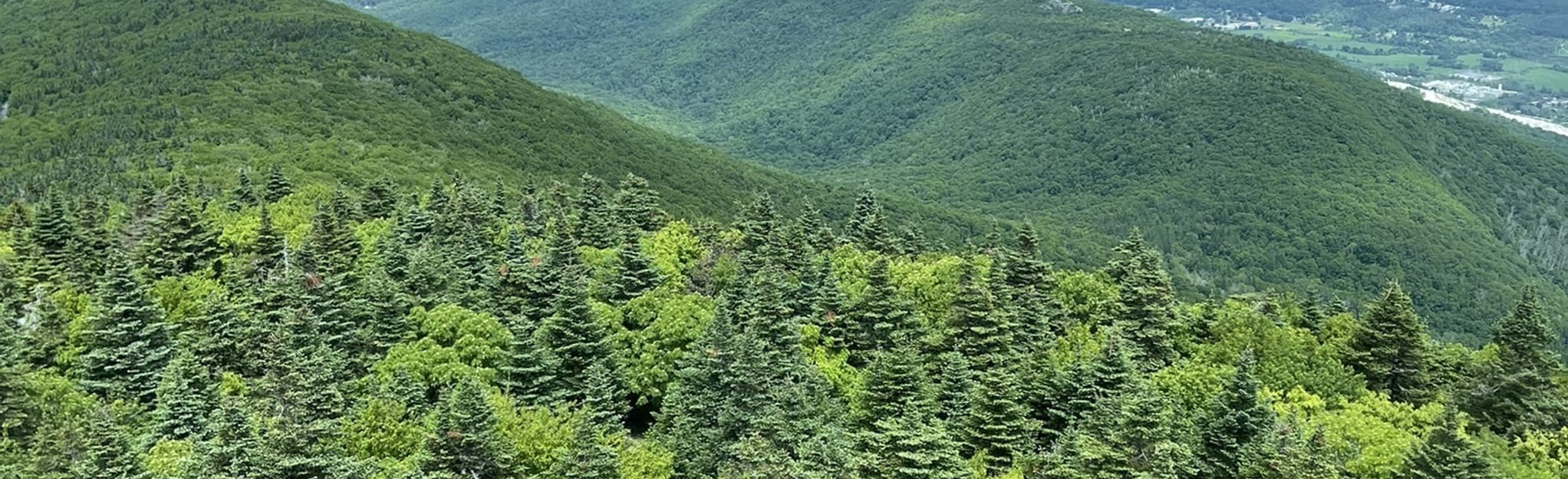 AllTrails | Gould Trail to Mt Greylock Summit: 319 Reviews, Map ...