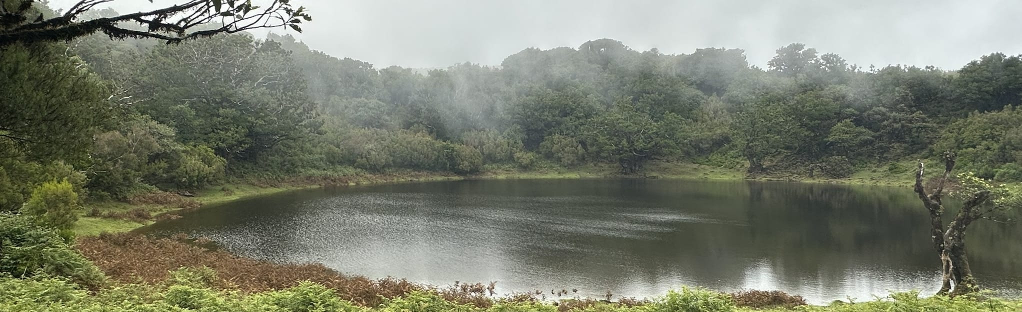 Fanal - Viewpoint of Fio and Ribeira Funda - Fanal Lagoon: 155 Reviews ...