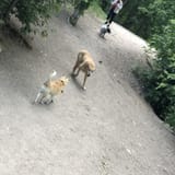 Memory Grove Trail, Utah - 1,220 Reviews, Map | AllTrails