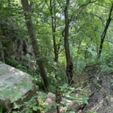 Arcola Bluffs Trail, Minnesota - 192 Reviews, Map | AllTrails
