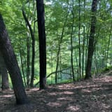 Arcola Bluffs Trail, Minnesota - 192 Reviews, Map | AllTrails