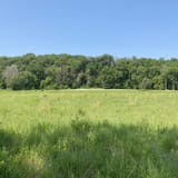 Arcola Bluffs Trail, Minnesota - 192 Reviews, Map | AllTrails