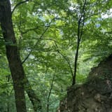 Arcola Bluffs Trail, Minnesota - 192 Reviews, Map | AllTrails