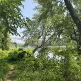 Arcola Bluffs Trail, Minnesota - 192 Reviews, Map | AllTrails